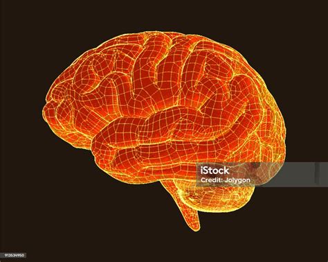 오렌지 두뇌 Illustraion 블랙 Bg에 고립 와이어 프레임 모델에 대한 스톡 벡터 아트 및 기타 이미지 와이어 프레임 모델 3차원 형태 빨강 Istock