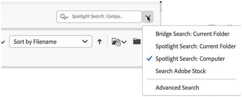 Solved Bridge Maximum Tabs Open Adobe Community 13456830