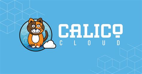 tigera on linkedin calico cloud