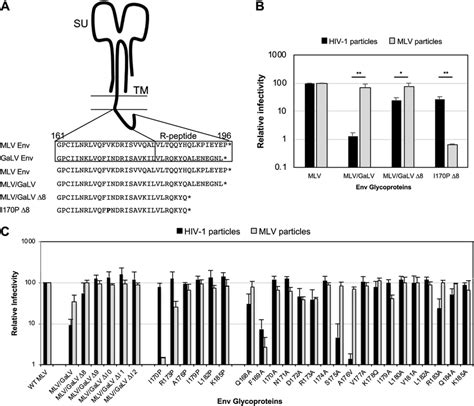 Mutations In The Env Cytoplasmic Tail Cause Virus Specific