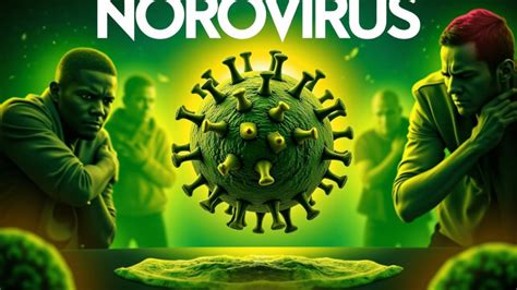 Inside Narrative Norovirus The Stomach Bug Hitting Hard In 2024