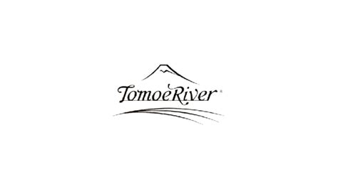Tomoe River Worlds Most Loved Fountain Pen Friendly Japanese Paper