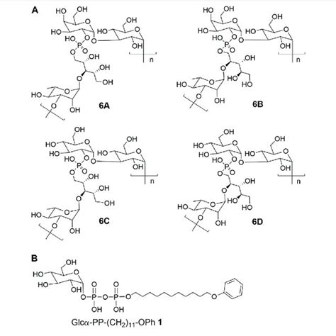 The Chemical Structures Of A Cps Repeat Units Of Pneumococcal Download Scientific Diagram