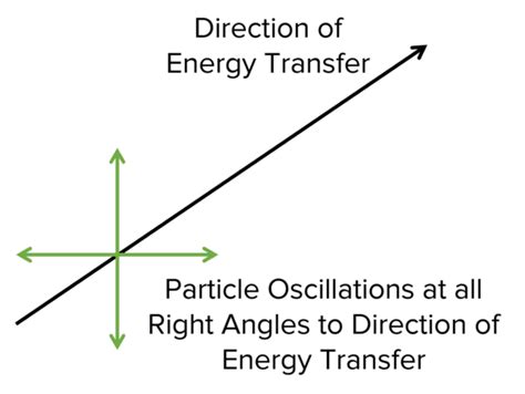 Longitudinal And Transverse Waves Worksheets Questions And Revision MME