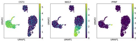 Single Cell Data Analysis Using Scanpy A Hugo Website