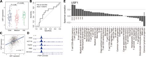 Frontiers Super Enhancer Driven Core Transcriptional Regulatory Circuitry Crosstalk With
