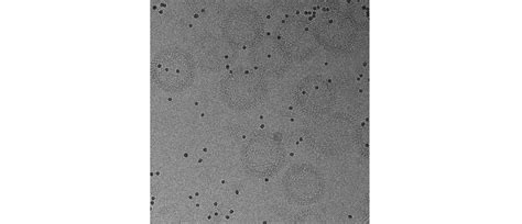 Ghifs · Issue 5 · Teamtomofidder · Github