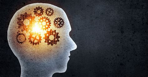 What Is Cognitive Stimulation Happyneuron Pro