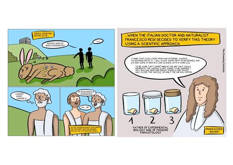 Scientific Illustrations The Drawing Scientist