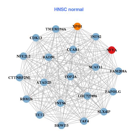 Cancer Cell Metabolism Database ~~ Bioinformatics And Systems Medicine