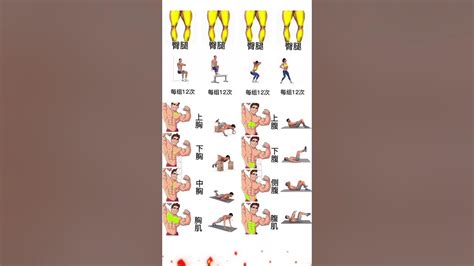 全身肌肉训练教学，每个动作做4组，组间休息30秒 健身 健身教学腹肌 Youtube