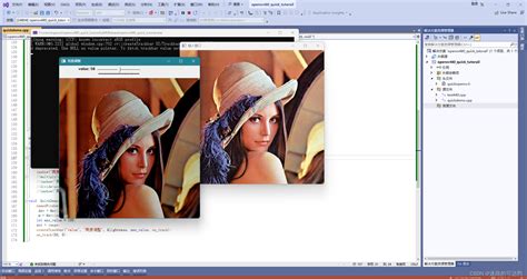Opencv示例：图像处理与交互式操作 Csdn博客