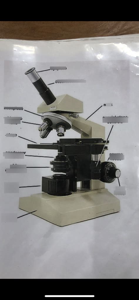 Microscope Diagram Quizlet