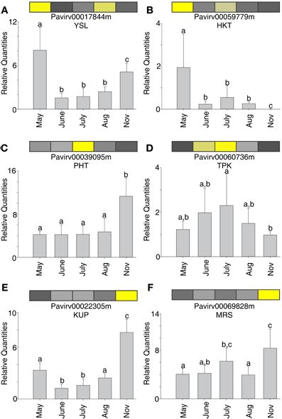 Correspondence Between Expression Profiles Observed In Ngs Datasets To