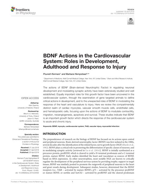 Pdf Bdnf Actions In The Cardiovascular System Roles In Development