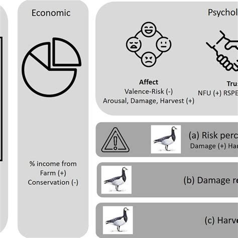 Conceptual Framework Indicating Direction Of Hypothesized Relationships