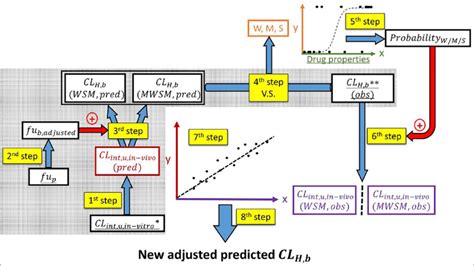 New Empirical Approach 1st Step Scale From In Vitro To In Vivo Use Download Scientific
