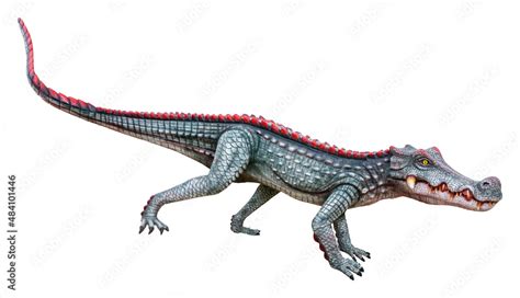 Kaprosuchus Is An Extinct Genus Of The Mahajangasuchid Crocodyliform Kaprosuchus Isolated On