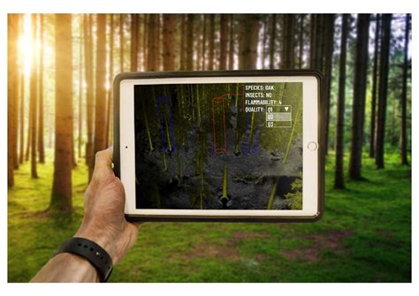 Real Time Lidar For Forestry By Outsight