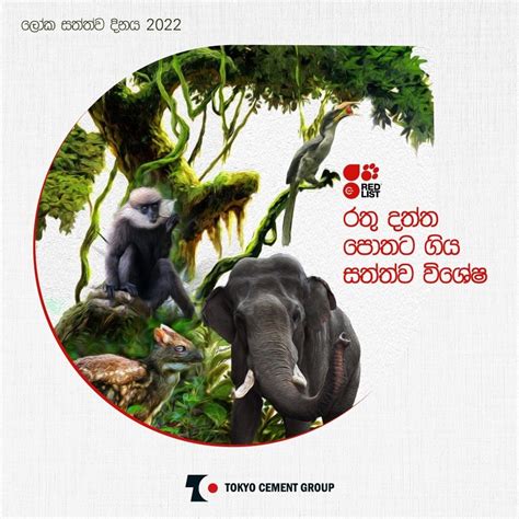 වඳ වී යාමේ තර්ජනයට ලක්වූ ශාක හා Tokyo Cement Group