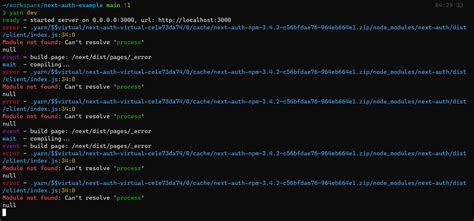 Polyfill For `process` Not Included With Webpack 5 And Yarn 2 Pnp · Issue 22247 · Vercelnext