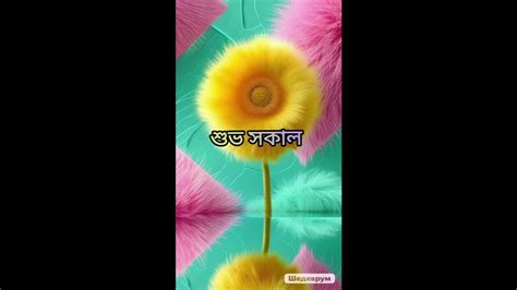 গুড মর্নিং সবাইকে👍👍 Youtube