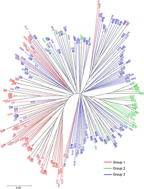 Dendrogram Of 288 G Hirsutum Germplasms By Nj Analysis Colors In The