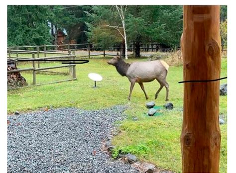 Figure 1 From The Parameters Comparison Of The Starlink” Leo Satellites Constellation For