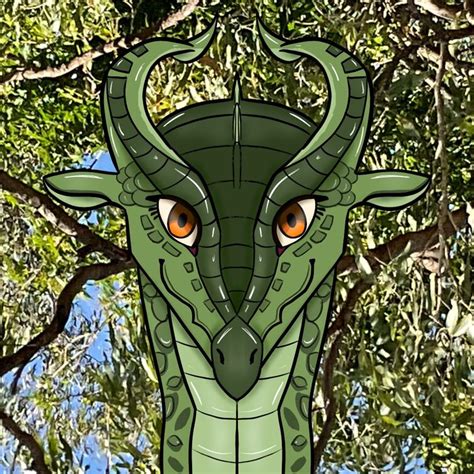 Discuss Everything About Wings Of Fire Wiki Fandom