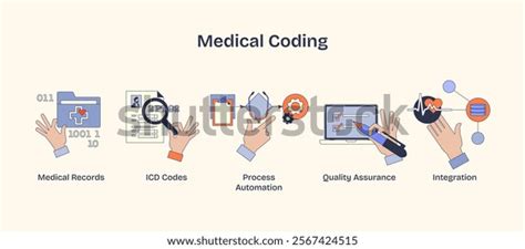 Medical Coding Workflow Over 23 Royalty Free Licensable Stock