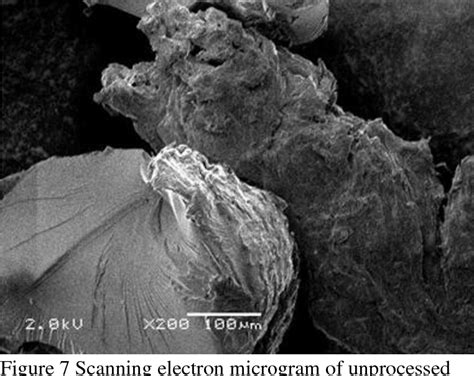 Figure 1 From Formulation Of Hpv Dry Powder Wafers For Sublingual Vaccination Semantic Scholar