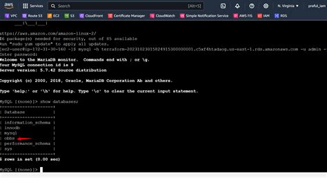 automated import of data dump and initialization of an aws rds databas
