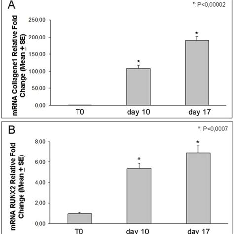coll i and runx2 expression real time pcr analysis shows runx2 and
