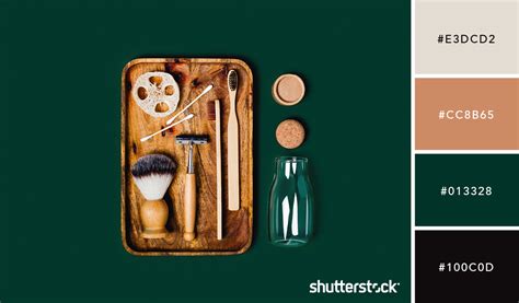 30 Color Palettes For Websites Choose Your Website Colors