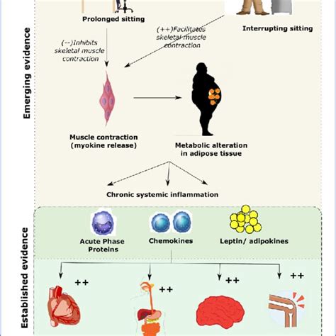 Graphical Summary Of The Problem Statement Presented In The Systematic