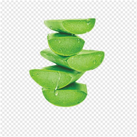 로션 알로에 베라 스킨 알로 인 젤 알로에 크림 얼굴 잎 Png Pngwing