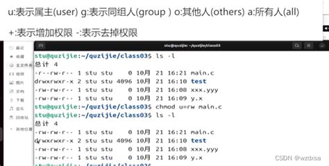 Linux文件类型与权限及其修改linux如何修改根文件系统类型 Csdn博客