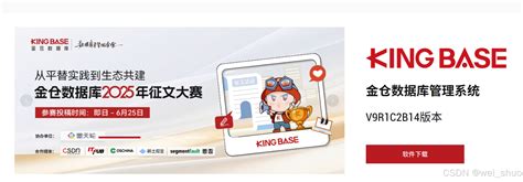 Kingbasees聚焦产品上线：金仓数据库在线体验平台上线，开启数据库实践新征程 Csdn博客