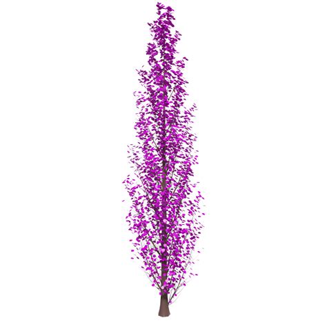 Tree Isolated On Transparent PNG