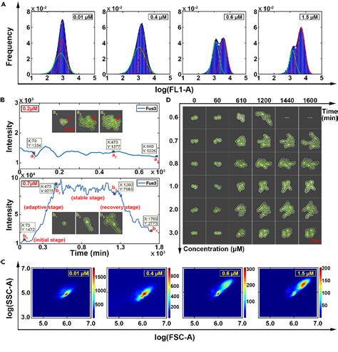 Figure 1 From Global Quantitative Understanding Of Non Equilibrium Cell