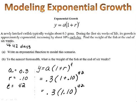 Free Exponential Functions Word Problems Worksheet Download Free