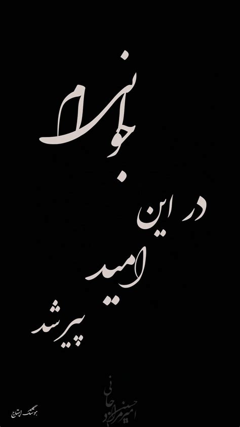 جوانی ام در این امید پیر شد