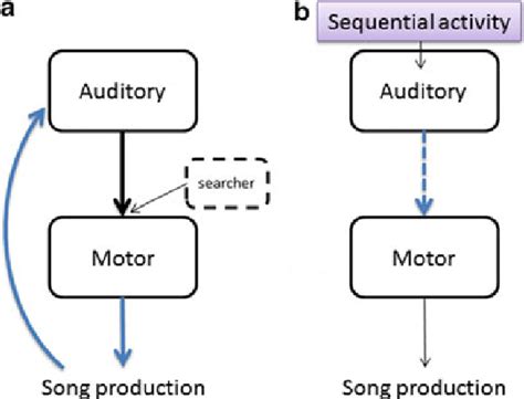 architecture of the inverse model for song learning ganguli and