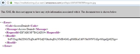 Nodejs Amazon S3 Bucket Image Access Issue Access Denied Stack