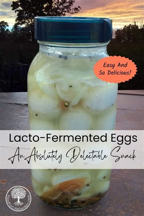 Fermented Eggs Make Probiotic Eggs In A Zesty Brine Food For Life