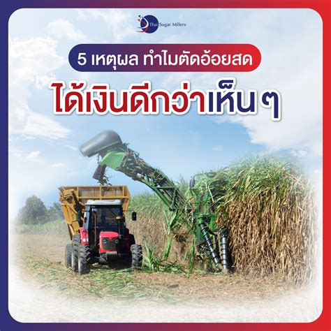 ด้วยการขาดแคลนแรงงาน 3 สมาคมโรงงานน้ำตาลทราย Tsmc