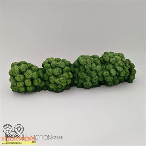 Tobys Travelling Circus Shrub Original Tv Series Prop