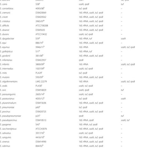 Streptococcus And Enterococcus Reference Species Used For Analyses Download Scientific Diagram