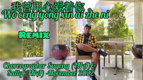 我曾用心爱着你 Wo Ceng Yong Xin Ai Zhe Niremixline Dancedemo And Count
