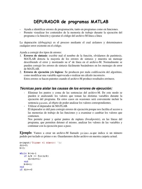 Depurador De Programas Matlab Pdf Programa De Computadora